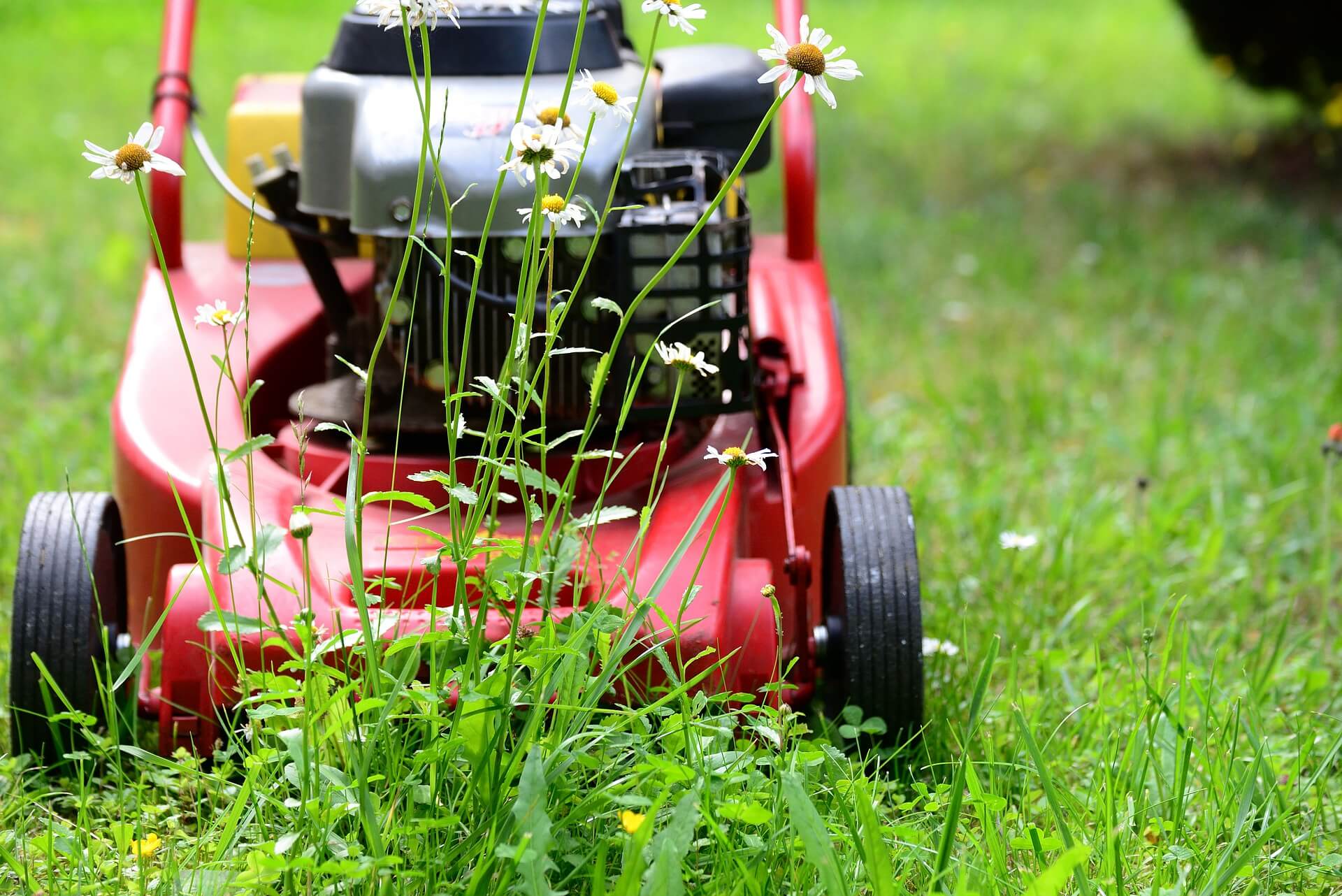Services d’hiver | Pro DT Services Inc.