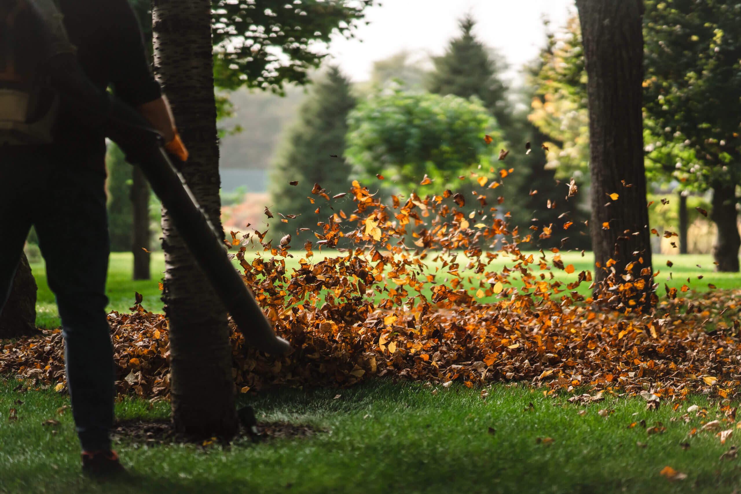 Service fermeture de terrain Montréal | Pro DT Services Inc.